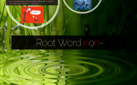Root Word 'non-' by Jin Li on Prezi