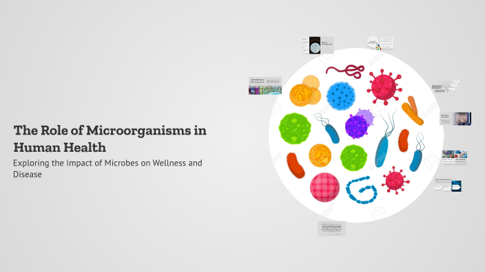 The Role of Microorganisms in Human Health by Hama Darya on Prezi