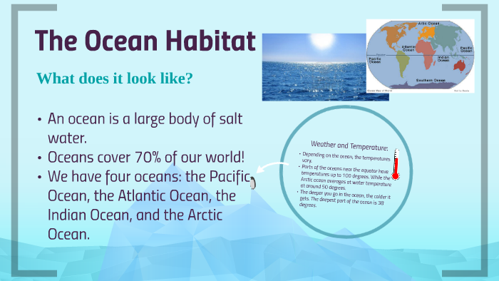 The Ocean Habitat by Vanessa Marriott on Prezi
