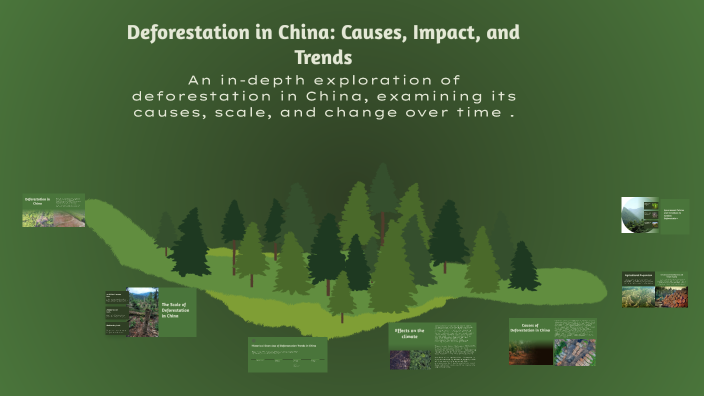 Deforestation in China: Causes, Impact, and Trends by Will Monchecourt ...