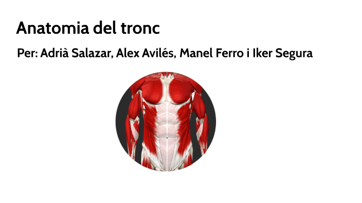 Anatomia del tronc by Adria Salazar Sanchez on Prezi