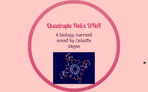 Quadruple Helix DNA by Celeste Gagne on Prezi