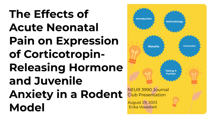 Effects of Neonatal Pain in Rodent Model by Erika Vossebelt on Prezi