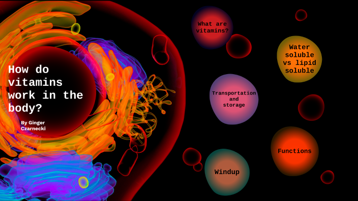 How do vitamins work in the body? by Ginger Czarnecki on Prezi