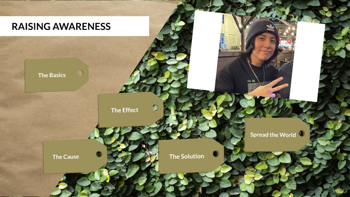 informacion sobre quackity by Martina Aguilar Olate on Prezi