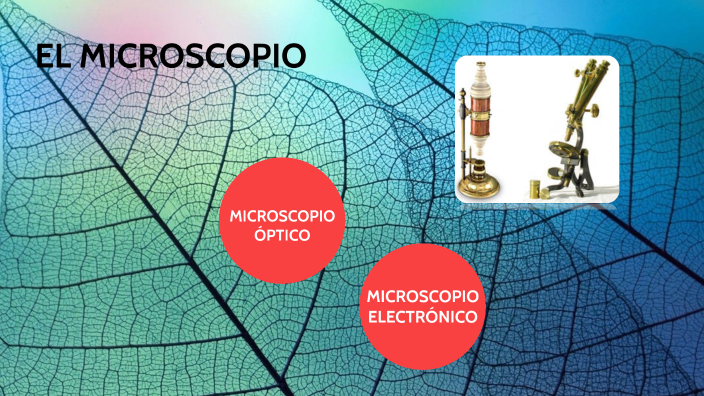 El microscopio by ivan condori on Prezi