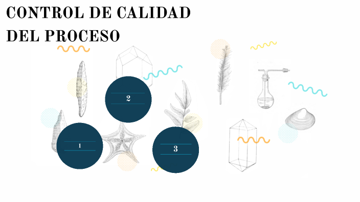 control de calidad del proceso by julieta martin on Prezi