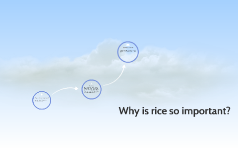 Why is rice so important? by Bryce Persinger on Prezi