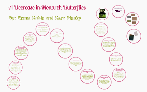 Monarch Butterflies by Emma Kobin on Prezi