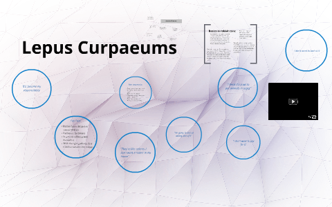 Lepus curpaeums by Milena Anderson on Prezi