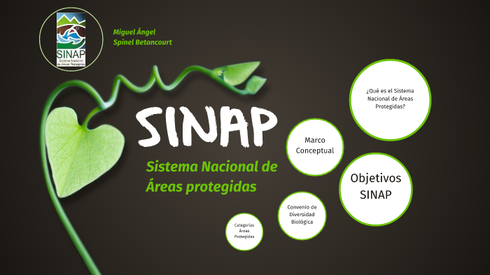 SINAP by Miguel Spinel on Prezi