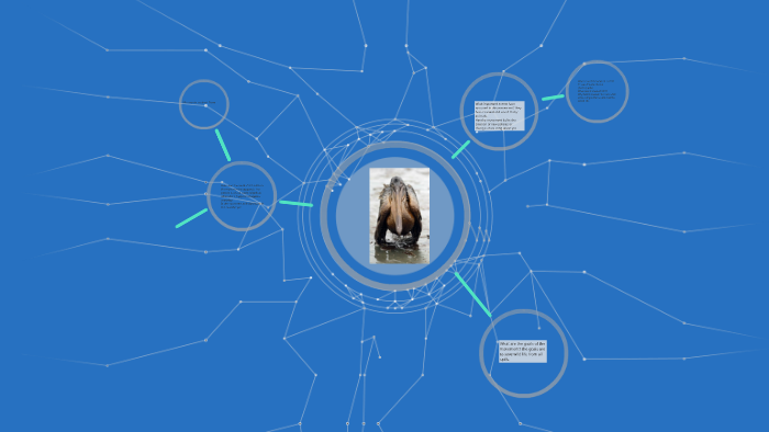 Who created the work of art? AP Images/Charlie Riedel, photo by Bryanna ...