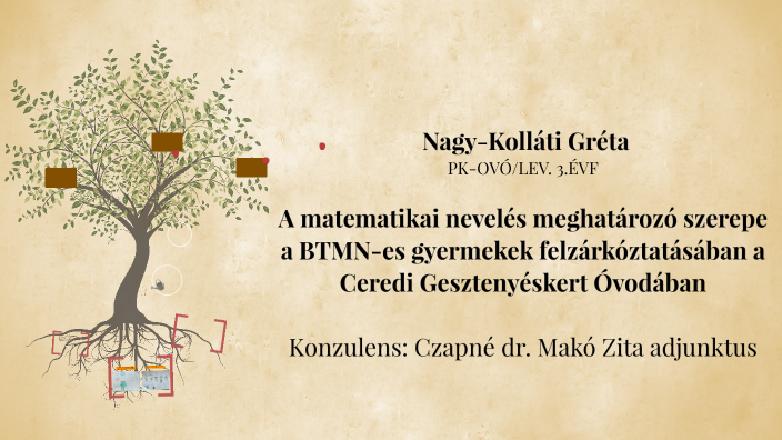 A MATEMETIKAI NEVELÉS MEGHATÁROZÓ SZEREPE A BTMN-ES GYERMEKEK FELZÁRKÓZTATÁSÁBAN A CEREDI ...