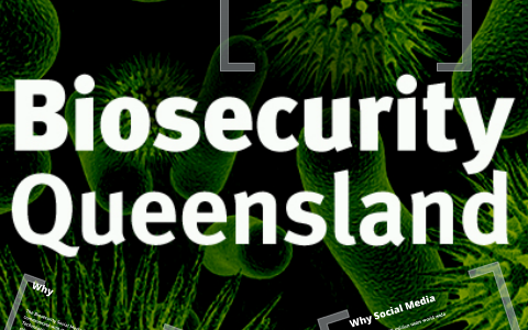 Biosecurity Queensland by Elliott Franks on Prezi