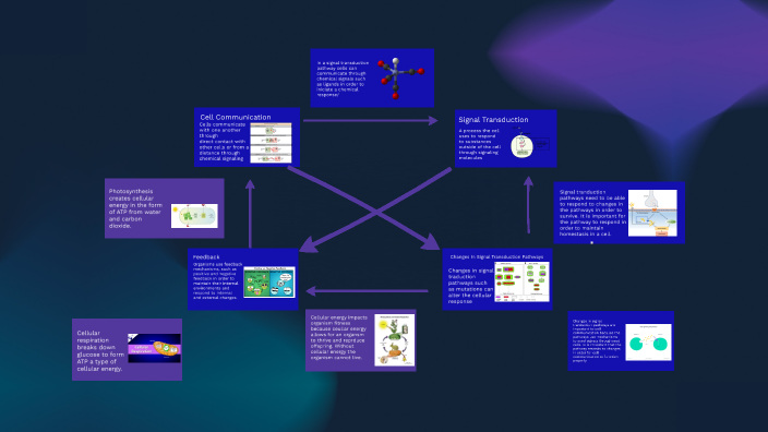 AP Biology Unit 4 Mind Map. by George Gonzalez on Prezi