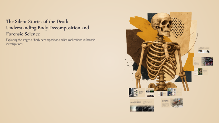 The Silent Stories of the Dead: Understanding Body Decomposition and ...