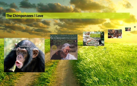 The Chimpanzees I Love by anna beckenhauer on Prezi