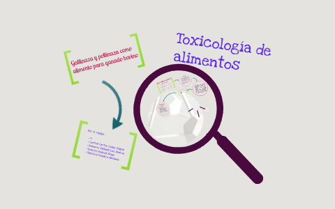 Gallinaza y Pollinaza como alimento para ganado bovino by Andrea ...