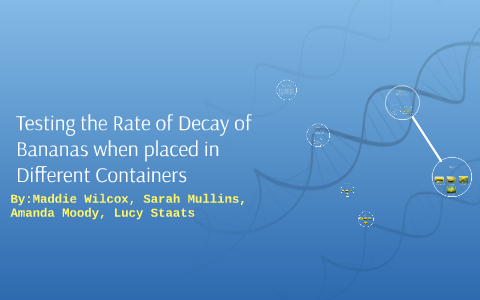 Testing the Rate of Decay of Bananas in Different Containers by Amanda ...