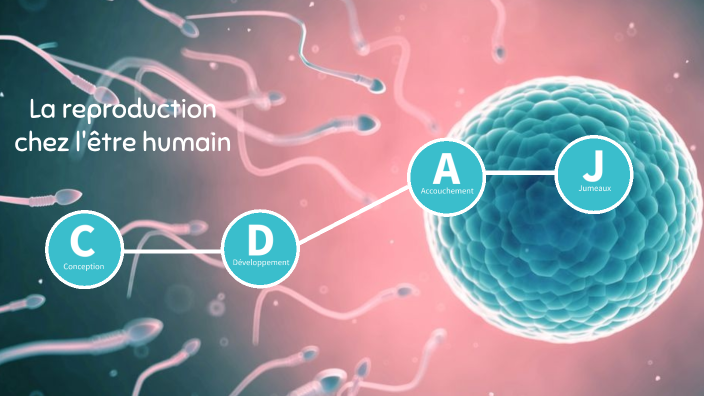 Le reproduction chez l'être humain by Sarah Desaulniers on Prezi