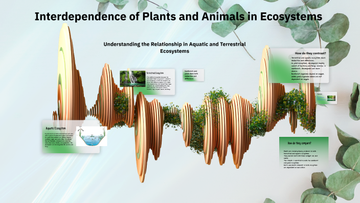 Interdependence of Plants and Animals in Ecosystems by Journee Phillips ...