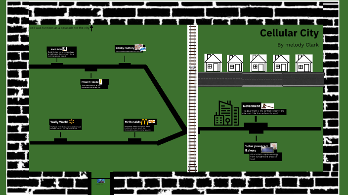 Cellular City by Melody Clark on Prezi