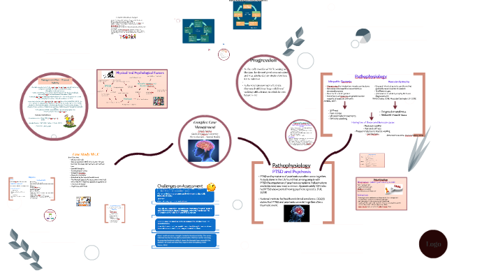 Complex Case Study by on Prezi