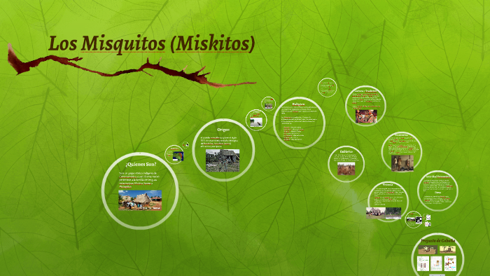 Los Misquitos (Miskitos) by Jose Ochoa on Prezi