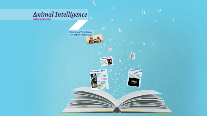 Animal Intelligence by - - on Prezi