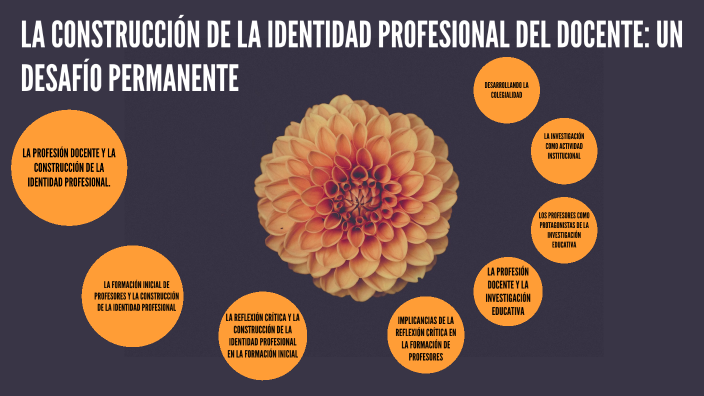 LA CONSTRUCCIÓN DE LA IDENTIDAD PROFESIONAL DEL DOCENTE: UN DESAFÍO ...