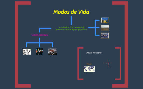 Modos de Vida by on Prezi