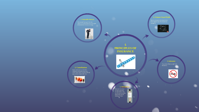 5 Principles of Insurance by C Mooney on Prezi