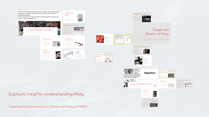 Euphoric Insights: Understanding Molly by jordan divers on Prezi