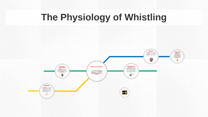 The Physiology of Whistling by Kendra Santana on Prezi