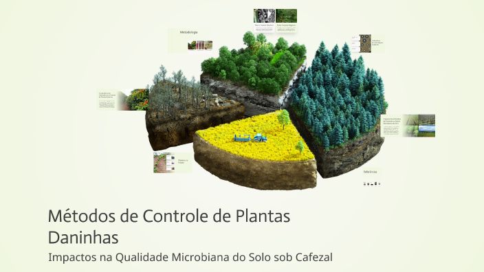 Métodos de Controle de Plantas Daninhas by David Keven on Prezi