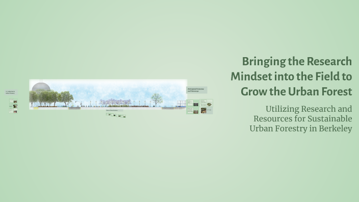 Bringing the Research Mindset into the Field to Grow the Urban Forest ...