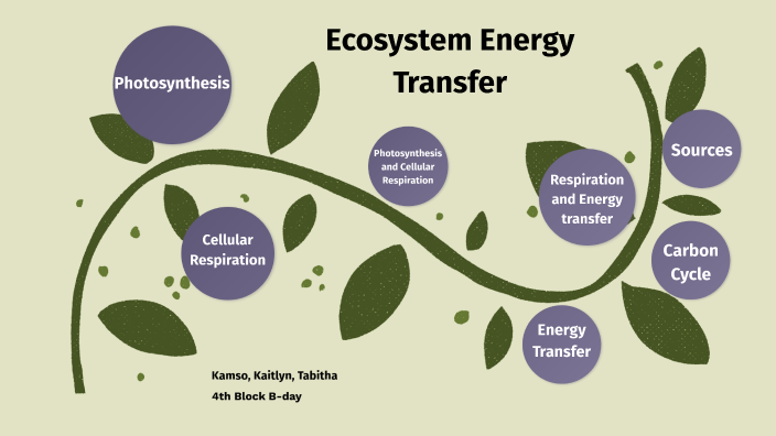 Ecosystem Energy Transfer. by Kamso Barnabas on Prezi