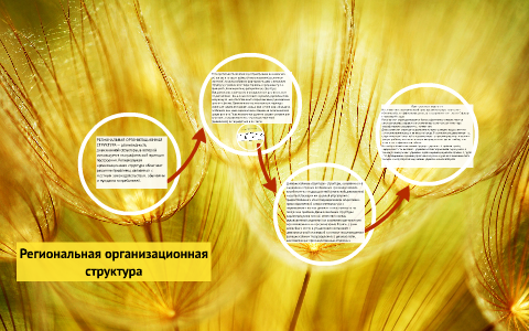 Региональная организационная структура by Maria Shapovalova on Prezi
