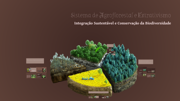 Sistema de Agroflorestal e Extrativismo by LAYNE Delacruz on Prezi