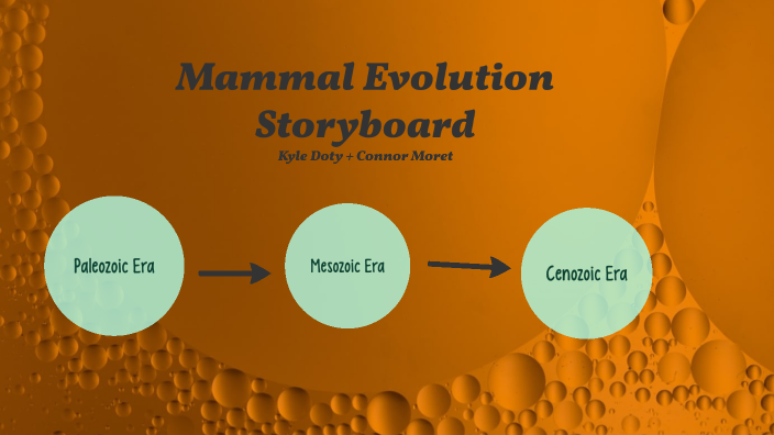 Mammal Evolution Storyboard by Kyle Doty