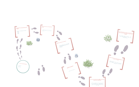 HBS Digestive System-Oral Cavity by Emily Foor