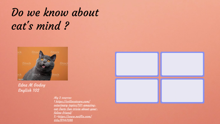 Do we know about cat's mind ? by Edna Martinez Godoy on Prezi