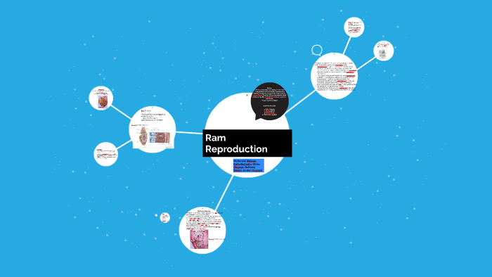 Ram Reproduction by McKenzie Weisser on Prezi