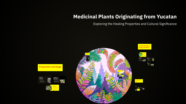 Medicinal Plants Originating from Yucatan by zaid de jesus ruiz lopez ...