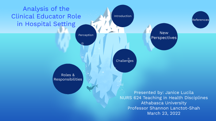 Analysis of the Clinical Educator Role in Hospital Setting by Janice ...