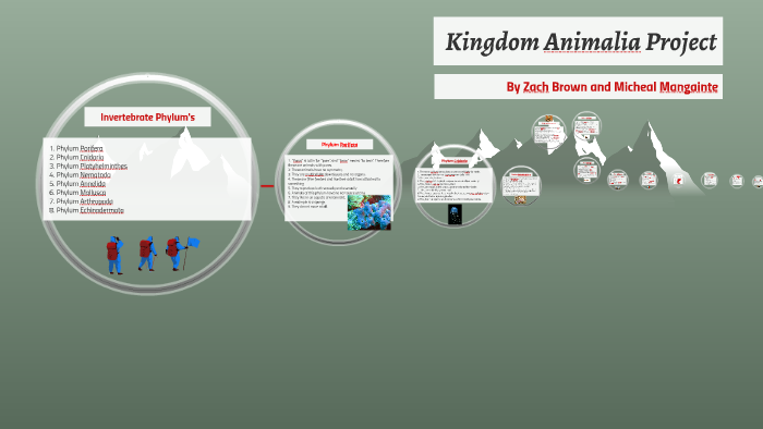 Kingdom Animalia Project by Zach Brown on Prezi