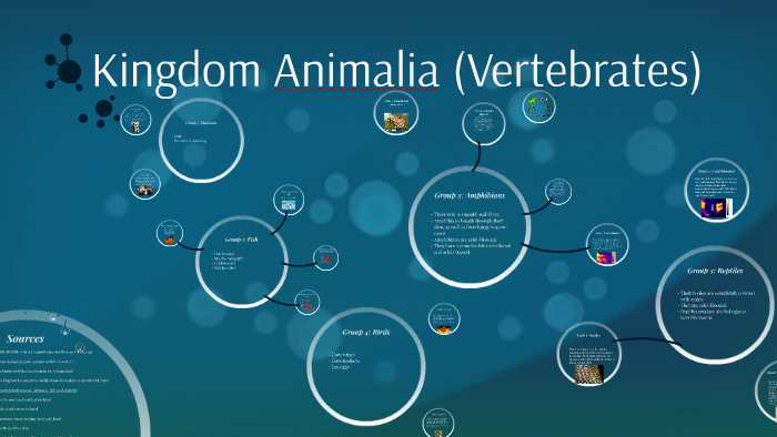 Kingdom Animalia (Vertebrates) by Marc Wilder on Prezi