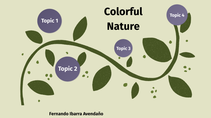 Aniversario del colegio Santa Rosa by FERNANDO JESUS IBARRA AVENDAÑO on ...