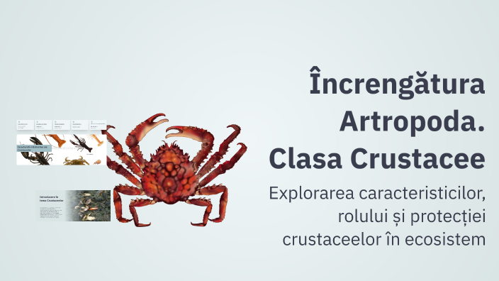Încrengătura Artropoda. Clasa Crustacee by Vasiliev Liliana on Prezi