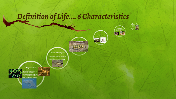 Definition of Life by Anna Caddy on Prezi